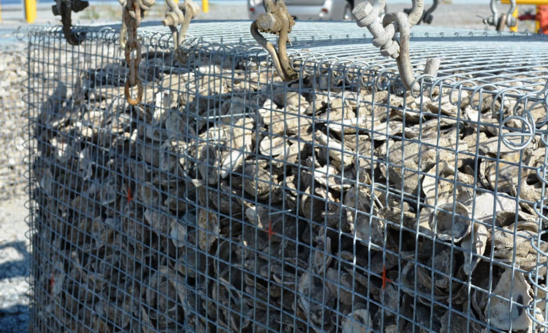 Modular Gabion Systems - C.E. Shepherd