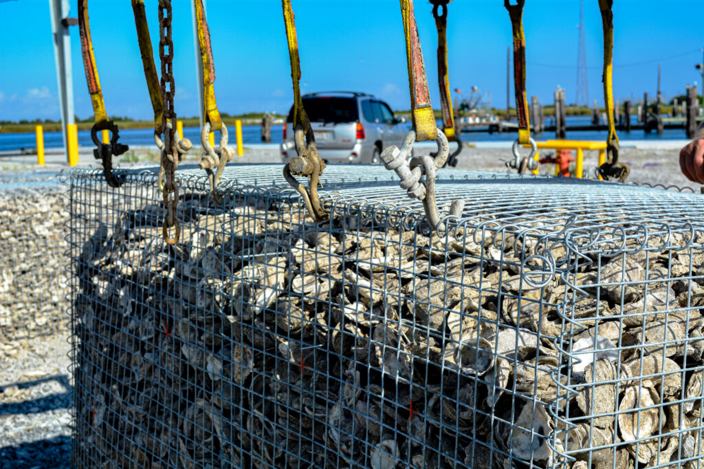 MODULAR GABION SYSTEMS™ - C.E. Shepherd